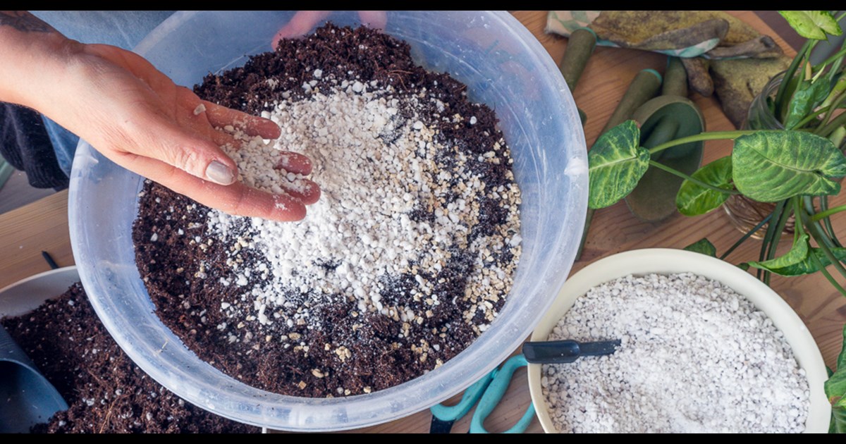 How to Make Your Own Potting Mix